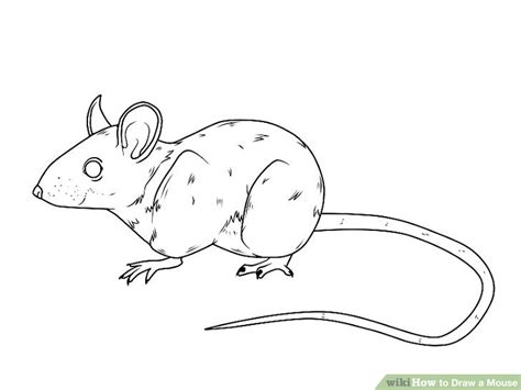 3 Ways To Draw A Mouse WikiHow