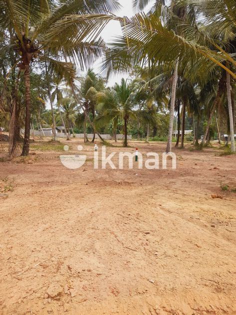 Land For Sale Pannala Ikman