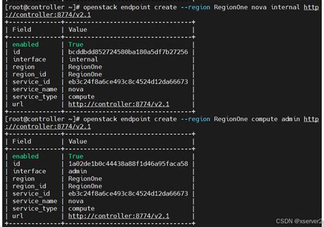 openstack12 计算服务（nova）安装 openstack nova csdn博客