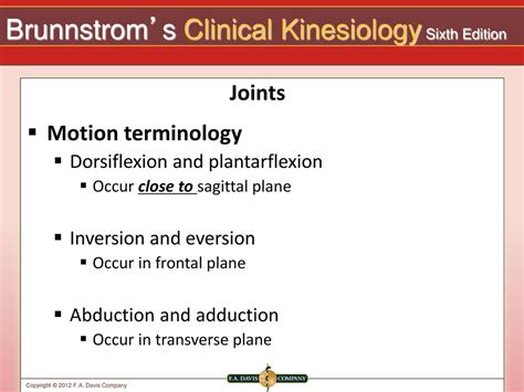 Chapter 11 Ankle And Foot Ppt Download