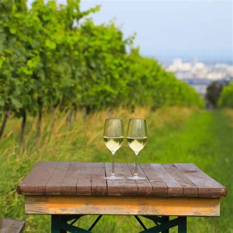 🧚‍♂️비엔나에서 빛나는 이색 체험 마이리얼트립