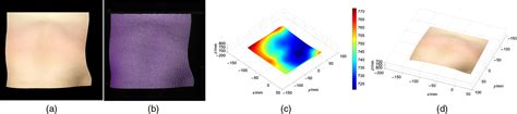 Three Dimensional Surface Reconstruction Via A Robust Binary Shape