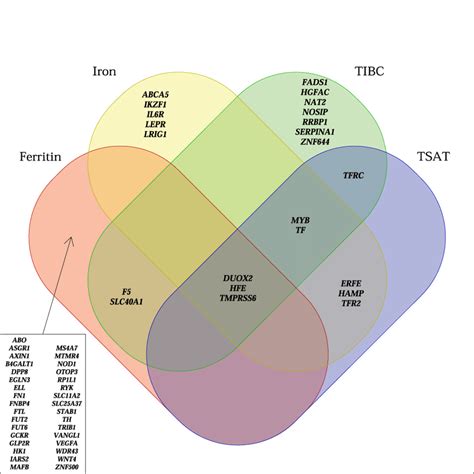Venn Diagram Venn Diagram Showing Loci With Predicted Gene Harboring Download Scientific