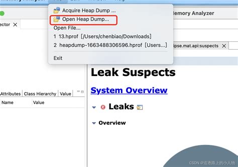 Jvm监控和诊断的工具matheadhump Visualvm 查看引用链 Csdn博客
