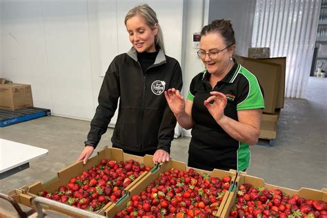 Scouting Inspires Sa Woman To Turn Farm Waste Into Sustainable Food