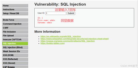Ctf Sql注入ctf Sql注入 Csdn博客