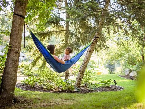 Will A Hammock Kill A Tree Hammock Hanging Chairs Hammock Stands Hammock Chair Stands