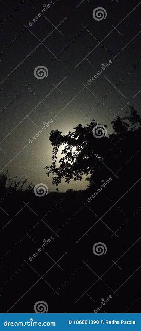 Beautiful Picture Of Moon Behind The Tree Stock Photo Image Of Monochrome Black
