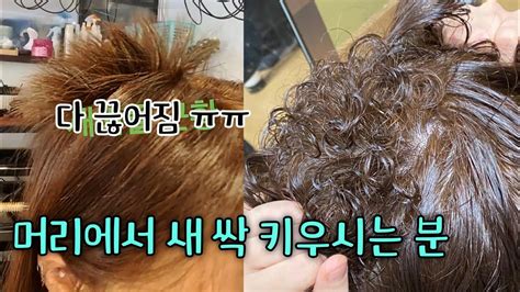 드디어 이 분도 오셨습니다 망한머리대회 머리 다 끊어진 여자분 다운펌 Youtube