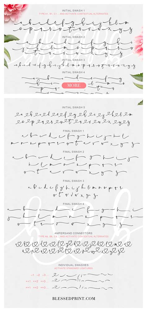 Betterfly 2 Dynamic Font Duo 148042 Script Font Bundles