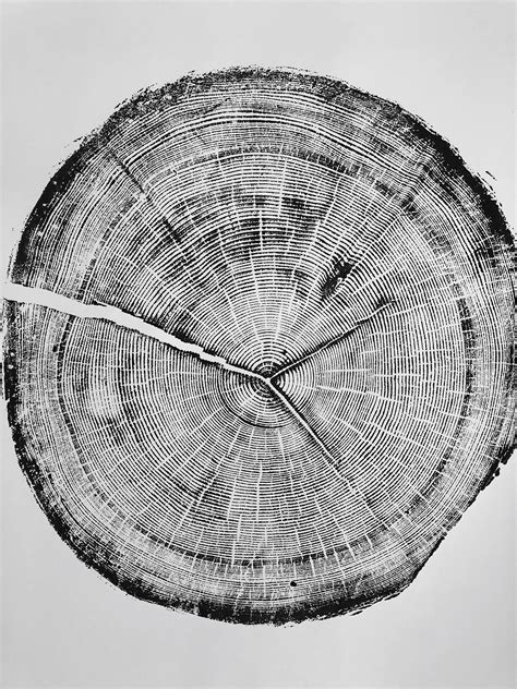 Tree Ring Art Print Snowbird Ski Resort Ski Resort Art Tree Rings Tree Art Wood Cut Hand