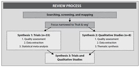 Focus 25 Mixed Methods Systematic Reviews Integrating Quantitative And Qualitative Findings