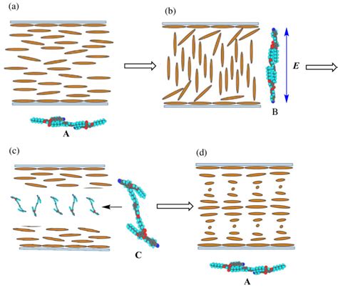 Model For The Electric Field Induced Phase Transition Download Scientific Diagram