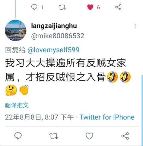 中共驻推特党支部书记 On Twitter 支人支语 粉红眼中的我习竟是个大强奸犯😱😂