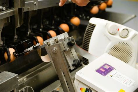 Аз жаргалыг үйлдвэрлэж буй “Түмэн шувуут” ХК хүнсий хувьсгалд нэгдлээ