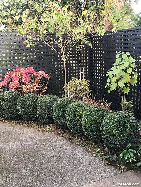 How To Repaint A Garden Trellis