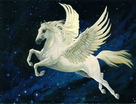 Pegasus Pegasus Photo Fanpop Page