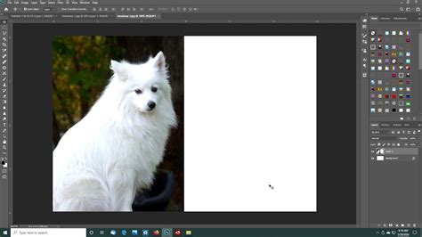 Wallet Size In Photoshop At Keith Maxey Blog
