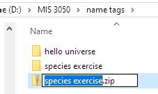 Uploading Python Python With Pets