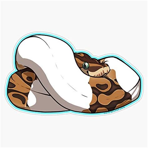 Exploring The Different Types Of Ball Pythons Morphs Patterns And Colors Scale Companions