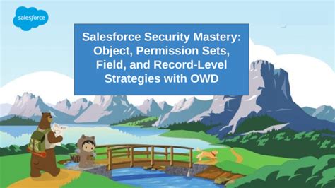 Salesforce Security Mastery Object Permission Sets Field And Record Level Strategies With Owd
