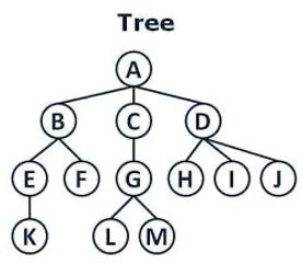 Write The Preorder Inorder And Postorder Traversals Chegg Com