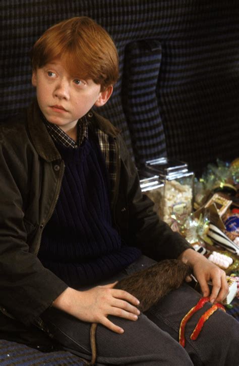 Harry Potter Characters Ronald Weasley Harry Potter Series