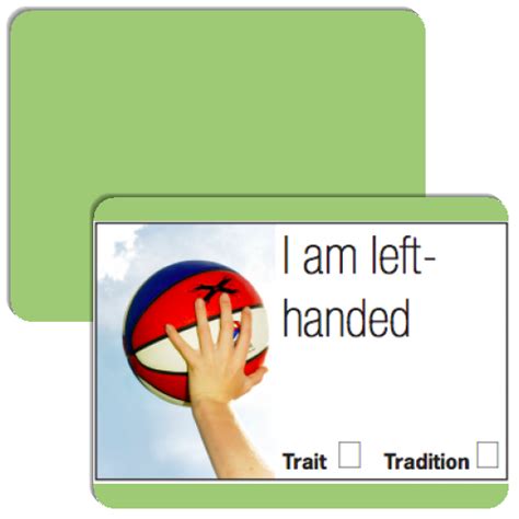 Traits Memory Game Match The Memory