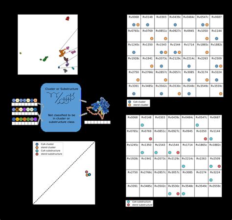 Predicting The Chemical Structural Class Of Sdr Substrates And Products Download Scientific