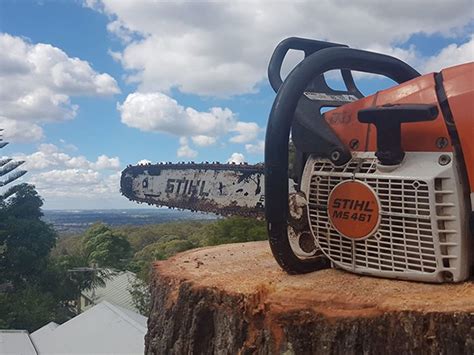 Home Inner West Tree Services Removal
