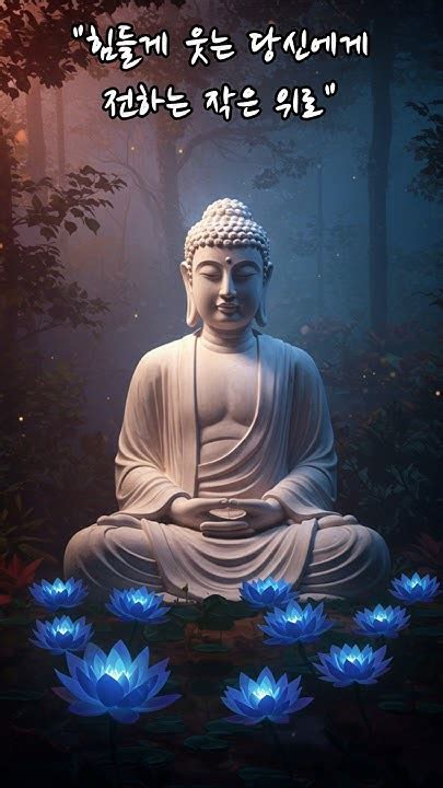 힘들게 웃는 당신에게 전하는 작은 위로│부처님 말씀│불교명언│삶의 지혜│인생명언│인생조언 명언 자기수행 좋은글긍정적사고