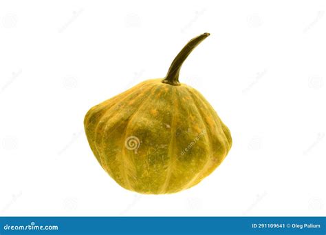 Patisson Isolated On White Background Stock Image Image Of Bright