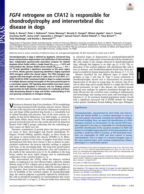 Pdf Fgf4 Retrogene On Cfa12 Is Responsible For Chondrodystrophy And
