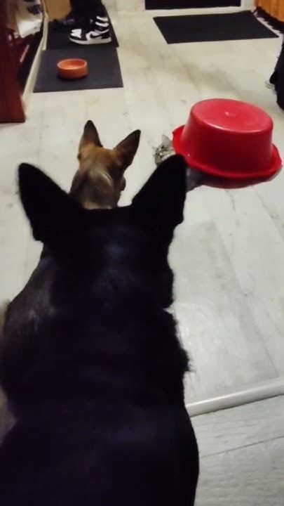 Эту сказку ты прочтёшь тихо тихо тихо… Youtube