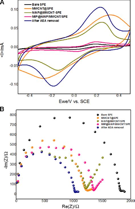 A Cyclic Voltammetry Cv Potential Range Of −0 5 To 0 5 V At A Scan Download Scientific