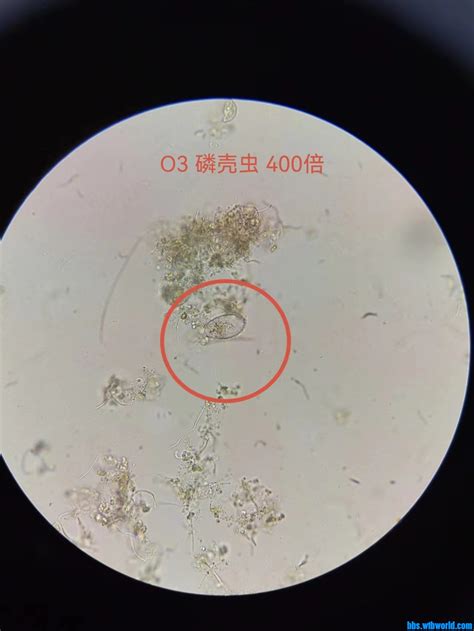 启动第四天运行状态分享 工艺交流 污托邦社区