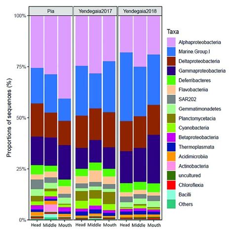 Composition Of The Microbial Communities At The Class Level In The