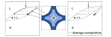 Visualisation Of The Scheil Solidification Model Download Scientific Diagram