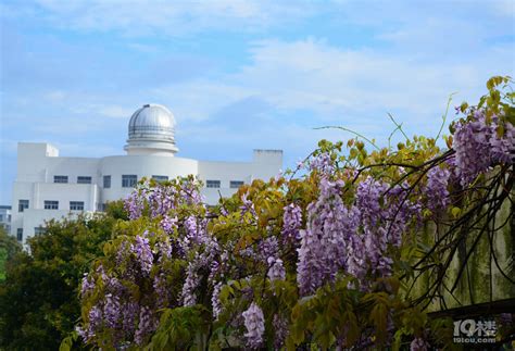 【点赞美丽校园】77浙江省新昌中学 小学教育 小学教育 杭州19楼