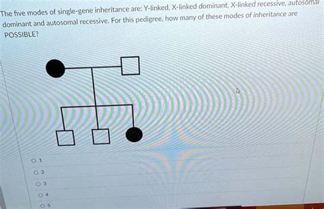 Solved The Five Modes Of Single Gene Inheritance Are Y Linked X Linked Dominant X Linked