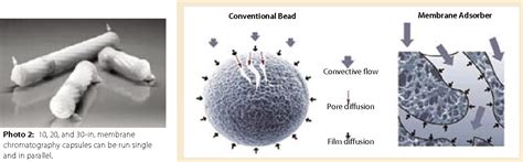 Figure 1 From Downstream Disposable Membrane Chromatography Performance Analysis And Economic