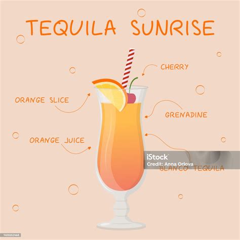 알코올 음료 칵테일 및 음료 레시피 테킬라 일출 메뉴 디자인 바텐더 가이드 플랫 벡터 일러스트 레이 션 0명에 대한 스톡 벡터