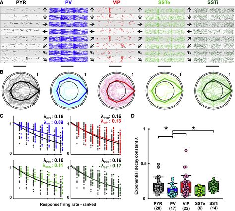 Direction Selectivity Of Inhibitory Interneurons In Mouse Barrel Cortex Differs Between