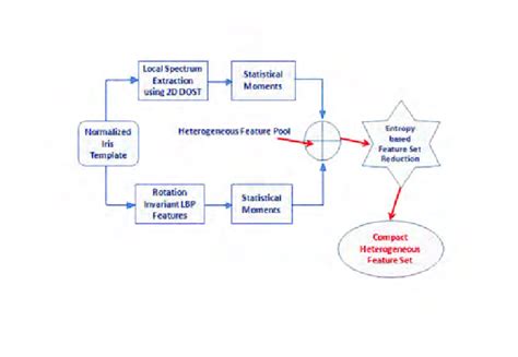 Iris Feature Extraction Algorithm Download Scientific Diagram