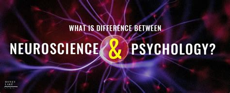 What Is The Difference Between Neuroscience And Psychology