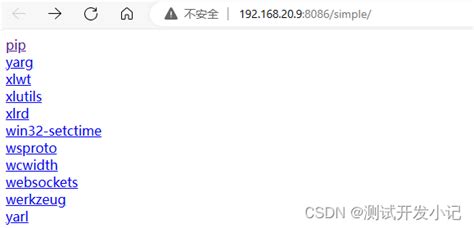使用pip2pi和nginx搭建私有pip镜像源方法 Csdn博客