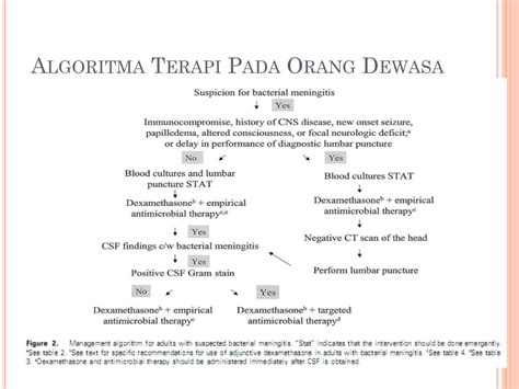 Ppt Meningitis Powerpoint Presentation Free Download Id3813199