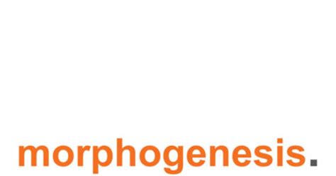 Morphogenesis Architects Plot No 41 Industrial Estate Okhla Phase Iii New Delhi 110020