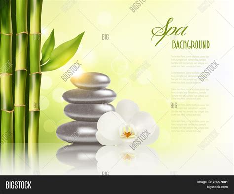Spa Vector Background