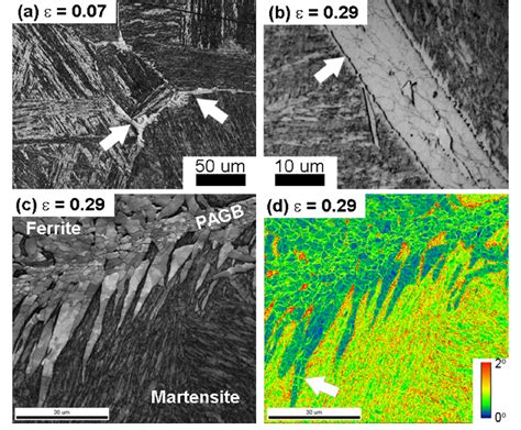 Microstructures Of The Specimens Deformed At 600 °c With A Strain Rate Download Scientific